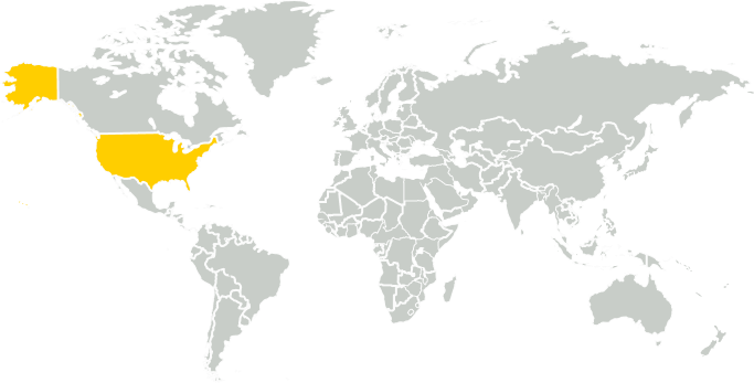 International Investments: Buy Assets in Dollars | Nomad