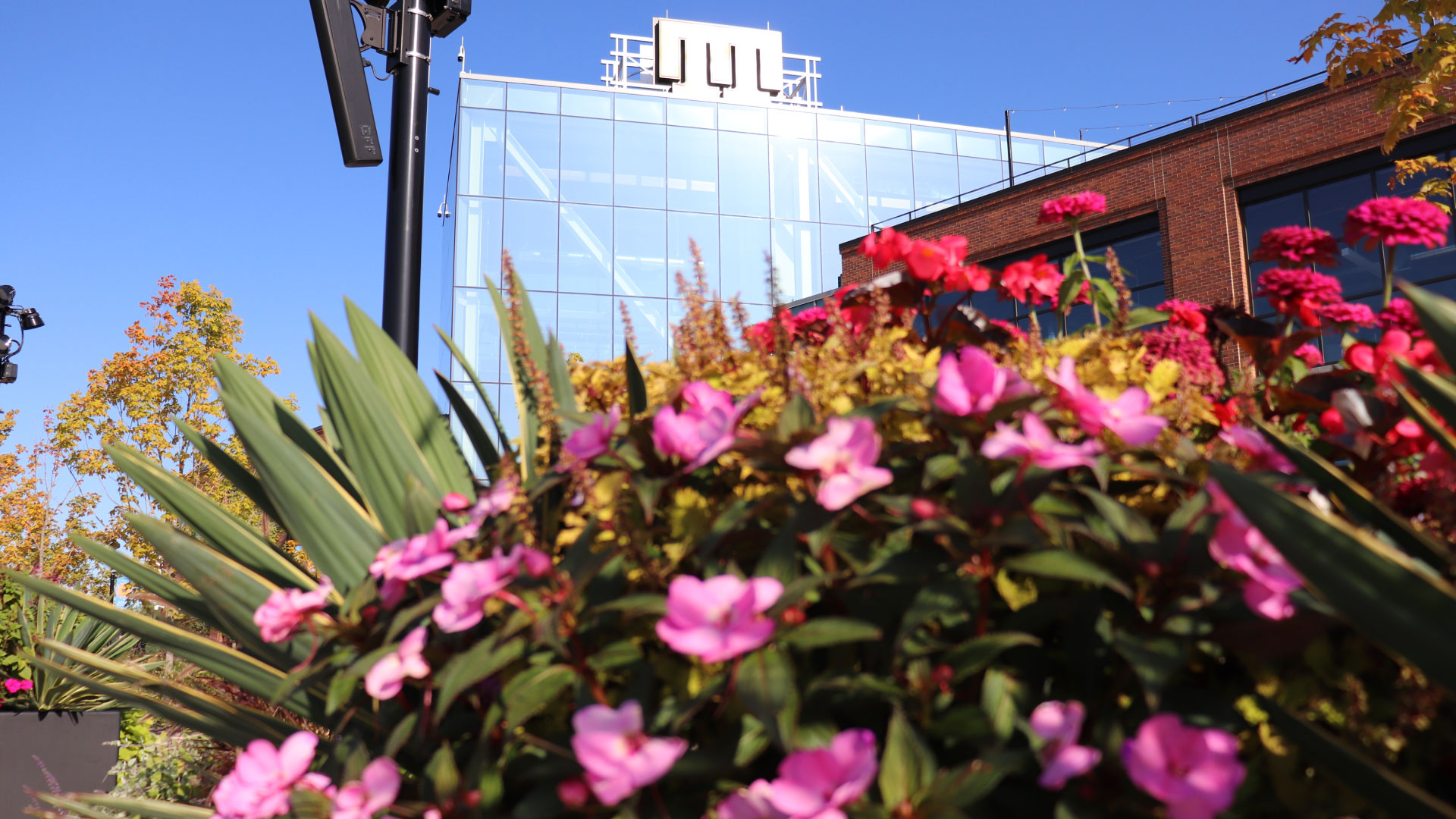 Go Green with Titletown at Titletown Near Lambeau Field