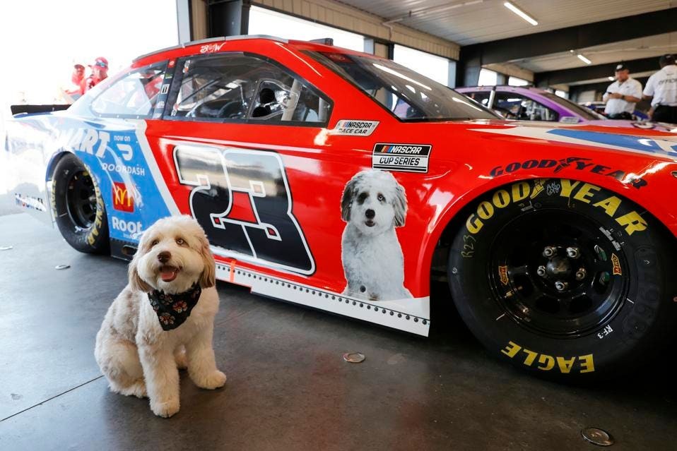 Nascar May Be Going To The Dogs, And That’s A Very Good Thing