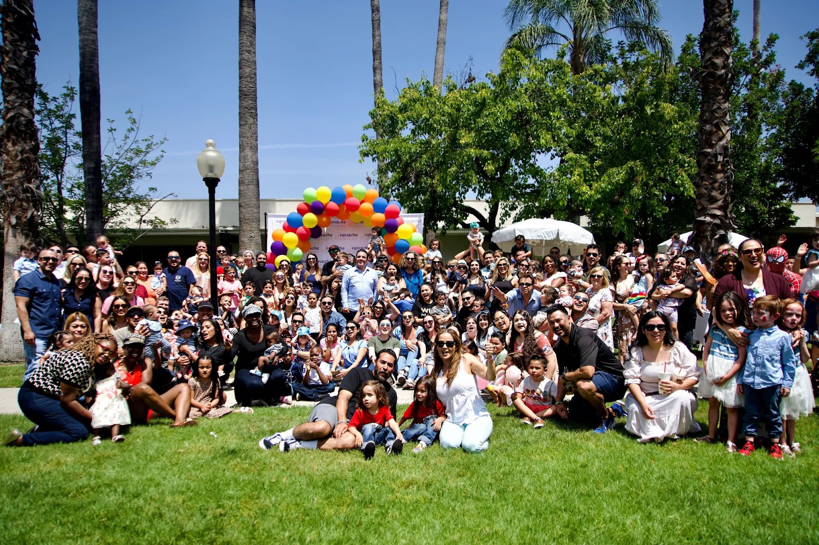 IVF – Advantages and Disadvantages