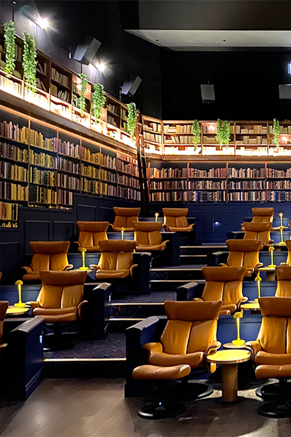 Event Cinemas - Ignite Architects