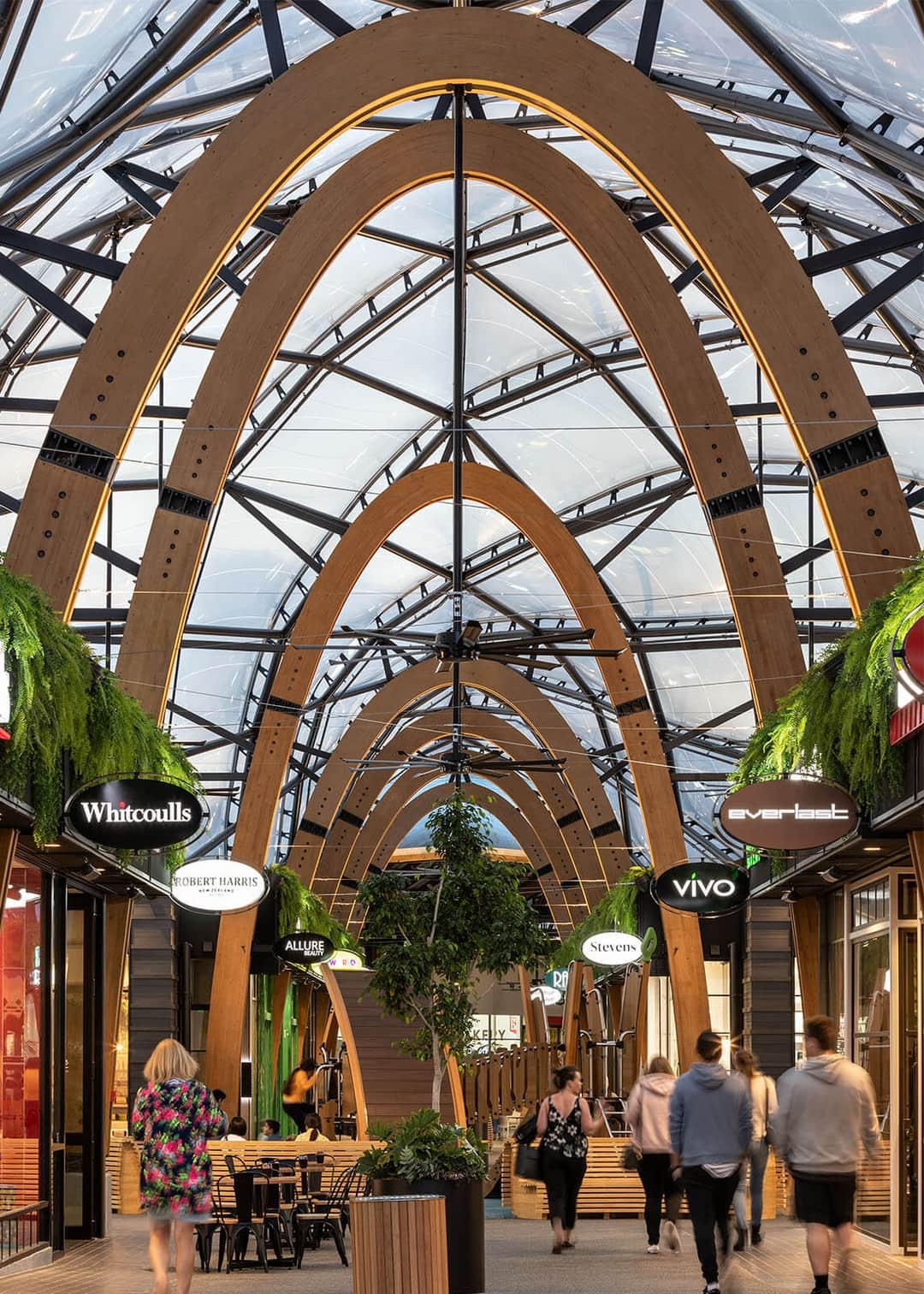 Garden Lane – Botany Town Centre - Ignite Architects