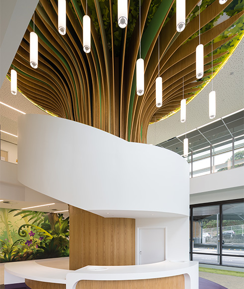 Ignite Architects Join with Studio Design + Architecture - Ignite ...