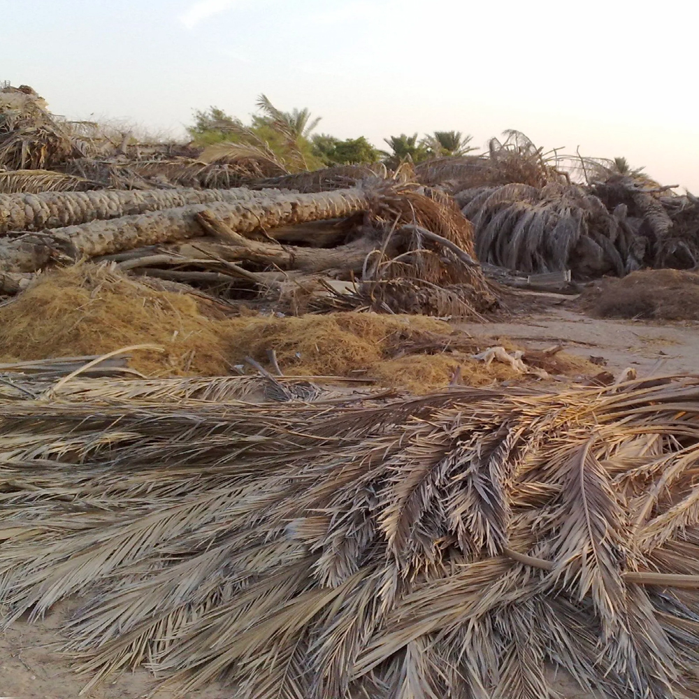 Karmanterra :: Biochar