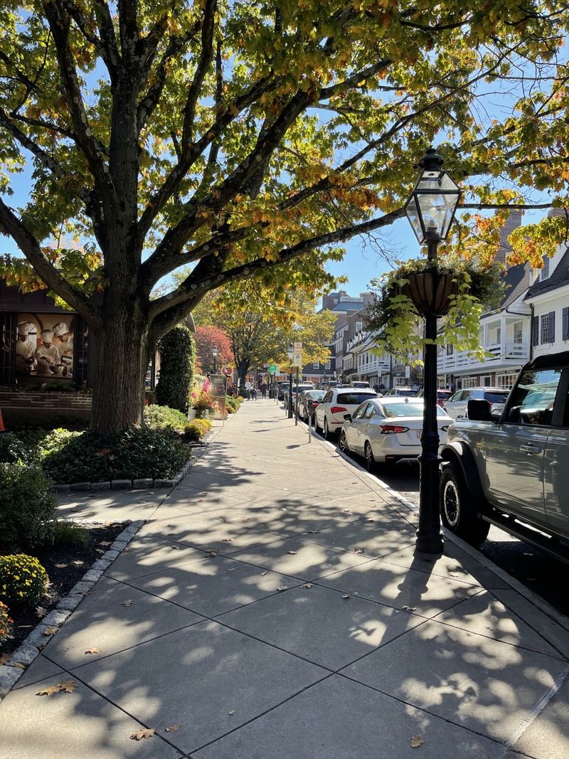 About Experience Princeton | Princeton NJ