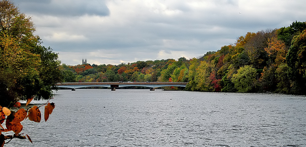 Lake Carnegie | Experience Princeton