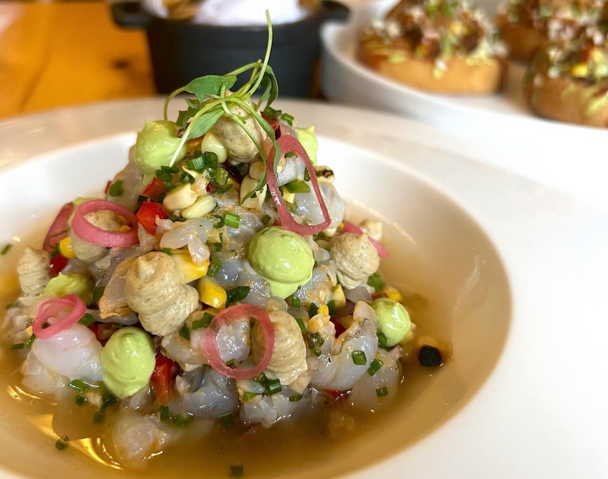 Mistral | Experience Princeton