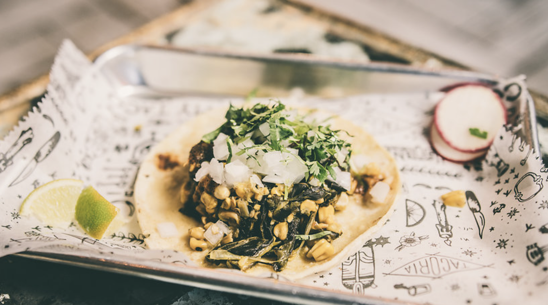 Tacoria | Experience Princeton