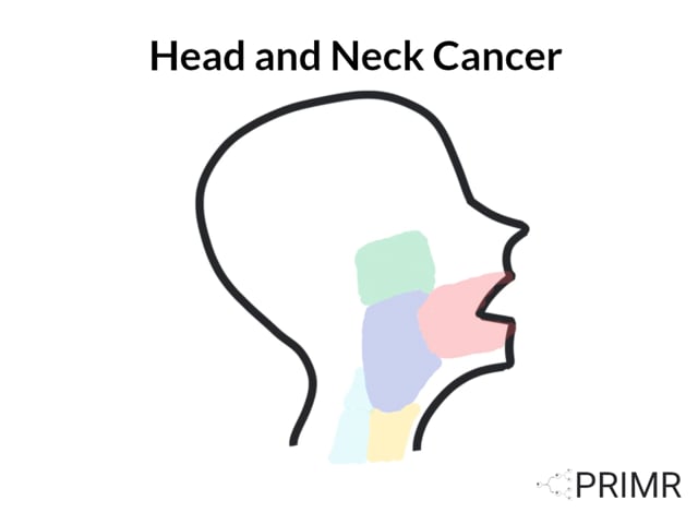 PRIMR | Head and Neck Anatomy Intro