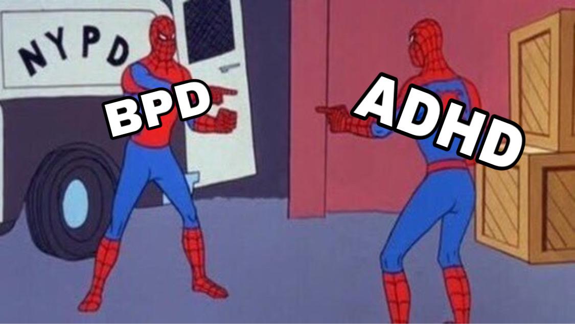 Understanding the Differences: BPD vs ADHD Diagnosis - Key Distinctions ...