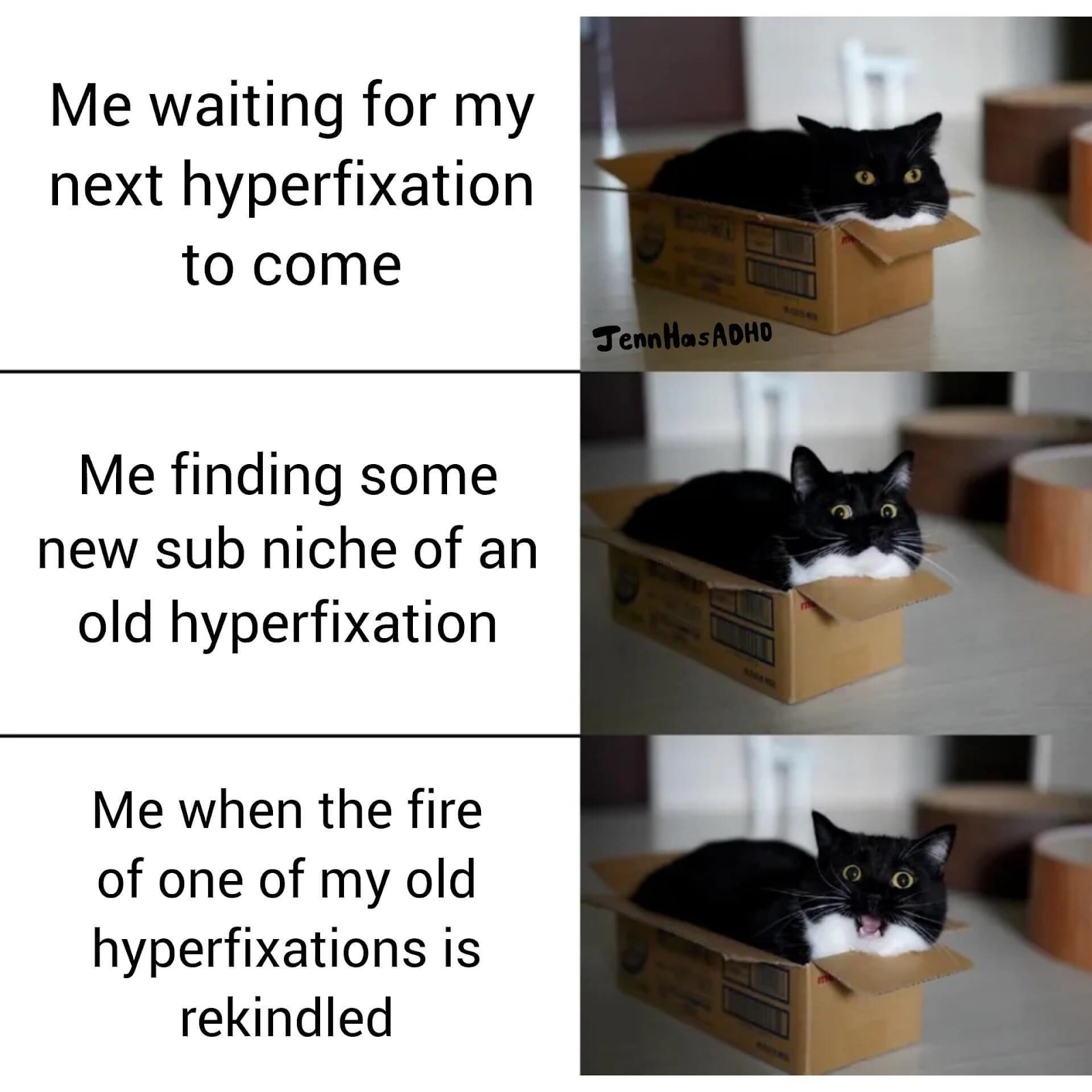 100+ Funniest & Most Relatable ADHD Memes