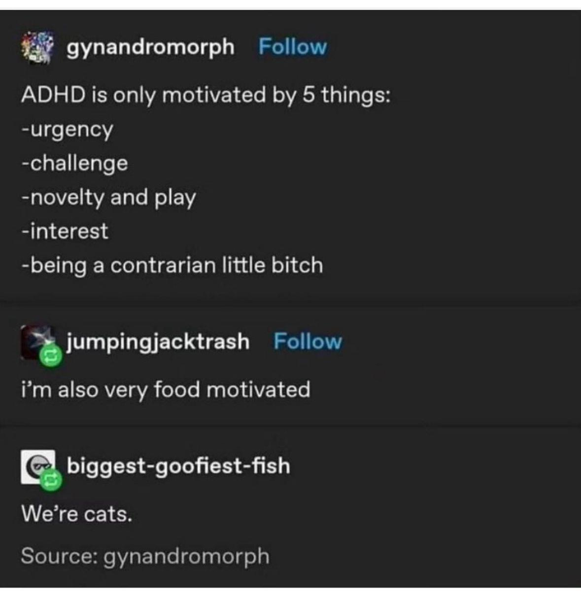 100+ Funniest & Most Relatable ADHD Memes