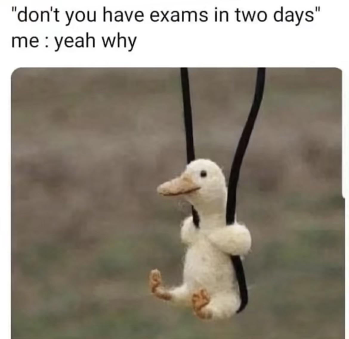 100+ Funniest & Most Relatable ADHD Memes