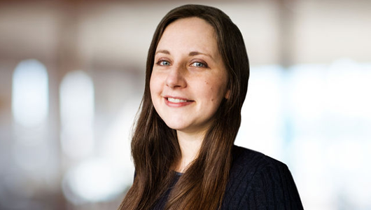 A dazzle of zebras and their diverse skills!