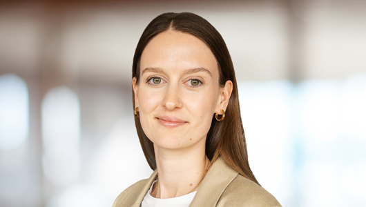 A dazzle of zebras and their diverse skills!