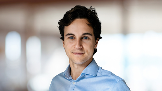 A dazzle of zebras and their diverse skills!