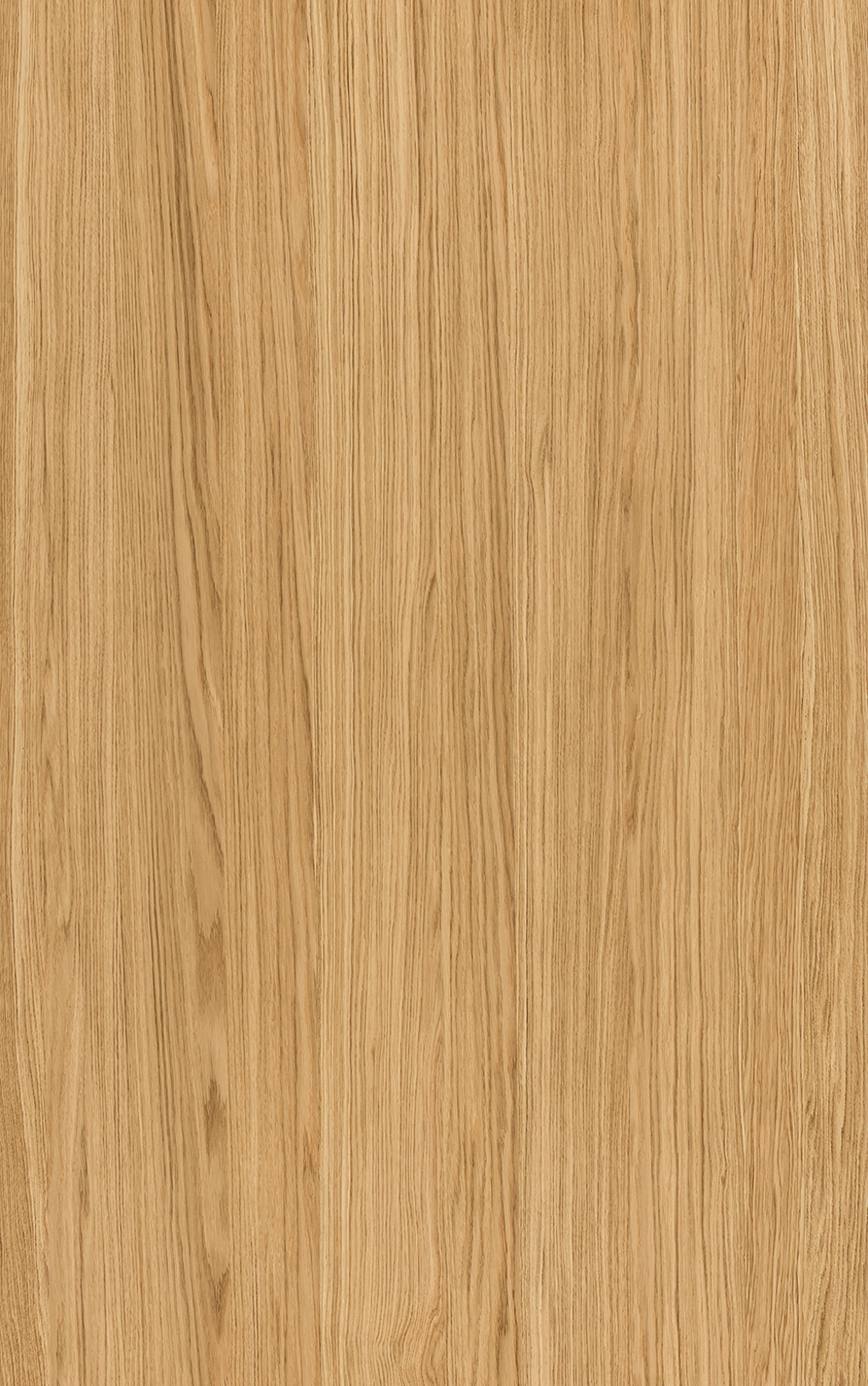 Natural Oak Slats - VidaSpace | Timber Veneer Slats
