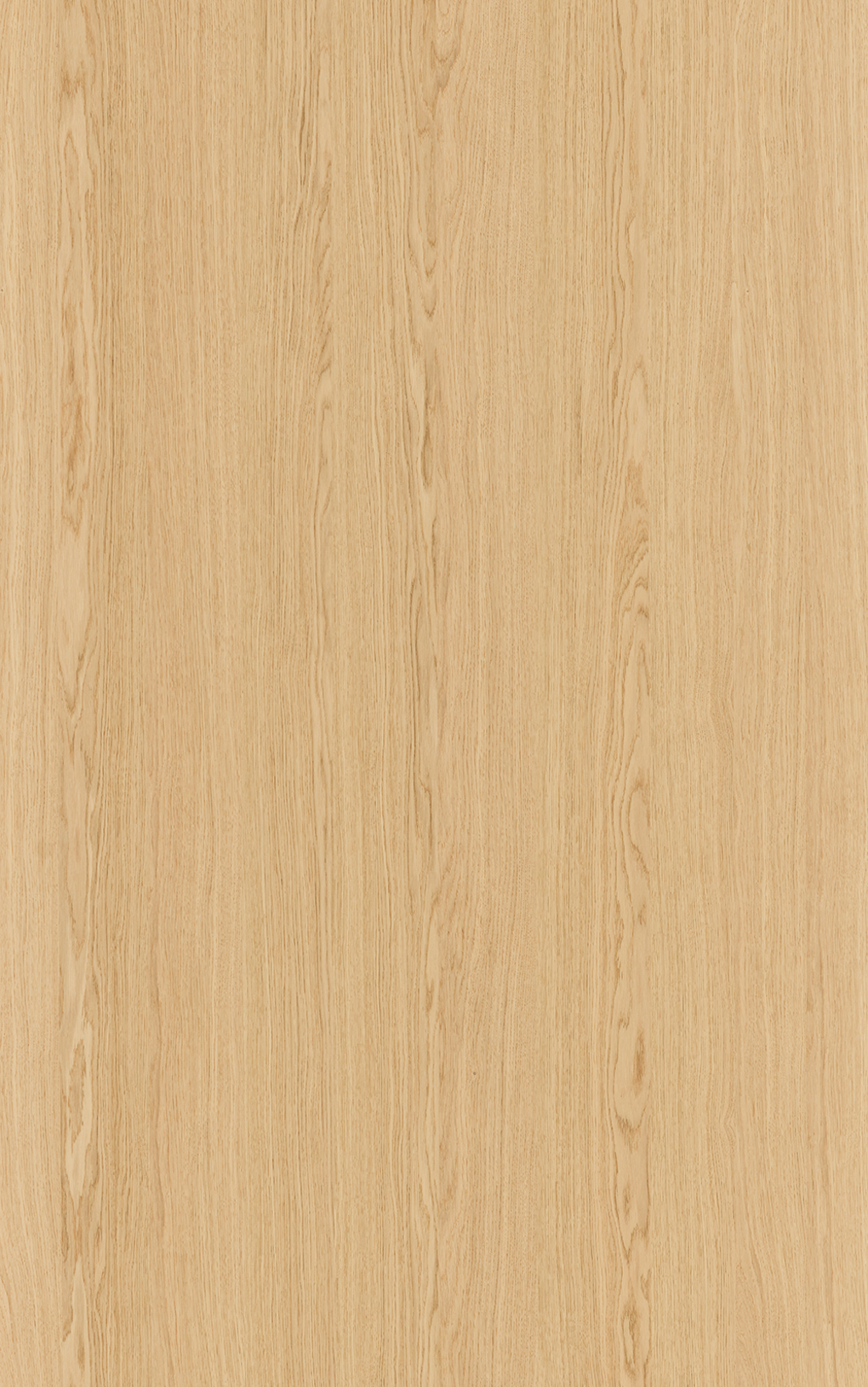 Ivory Oak - VidaSpace | Prefinished Timber Veneer Panels