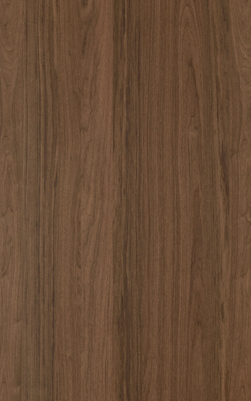 Pure Walnut - VidaSpace | Prefinished Timber Veneer Panel