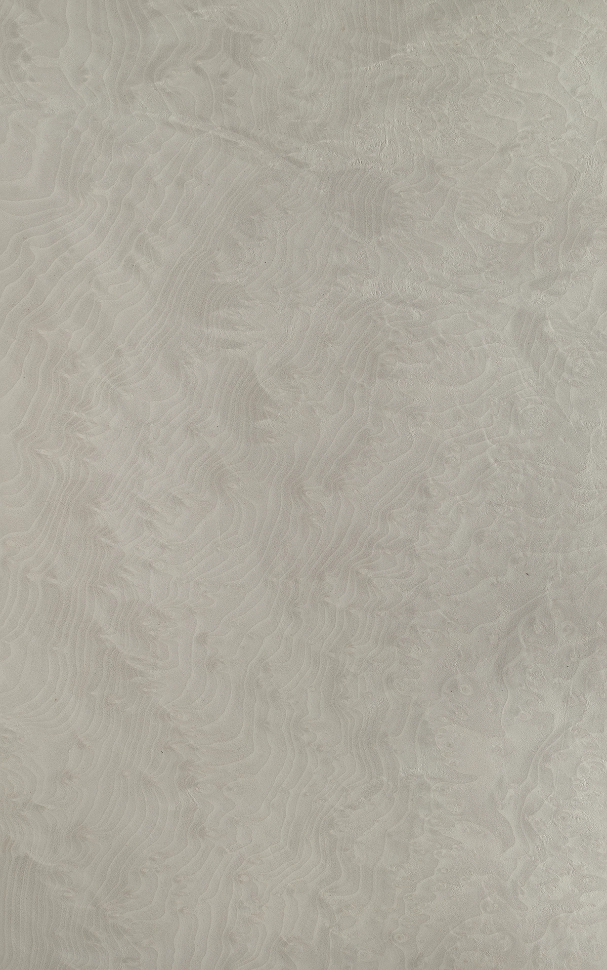 Radica di Madrona - VidaSpace | Dyed Timber Veneer