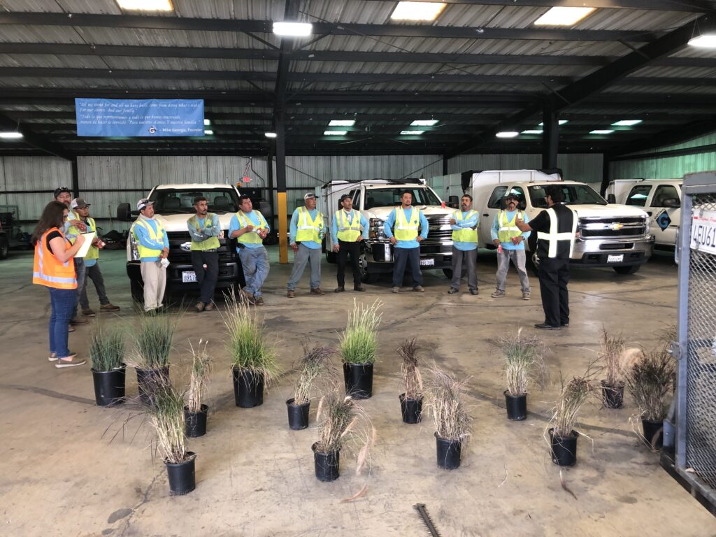 How to Succeed As a Branch Manager in the Landscaping Industry