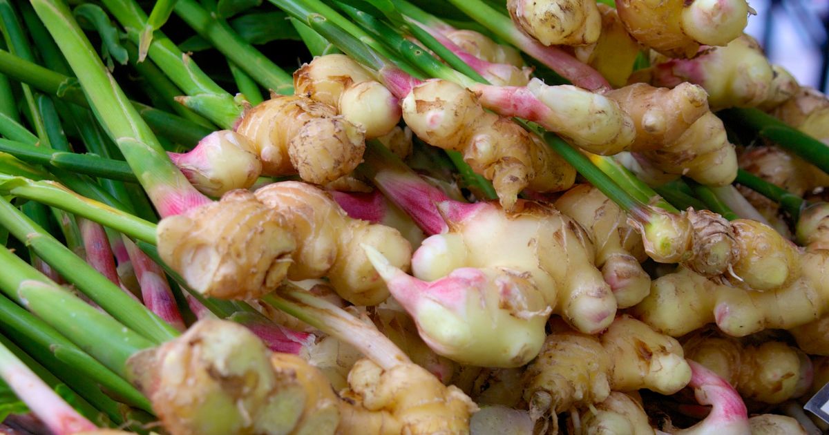 Ginger: A Versatile Ingredient for Your Culinary Creations