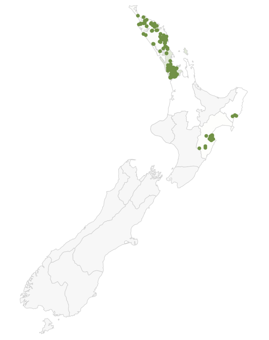 Extreme Weather Survey Overview list