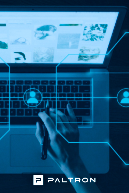Insights | IT Recruiting & Headhunting | PALTRON