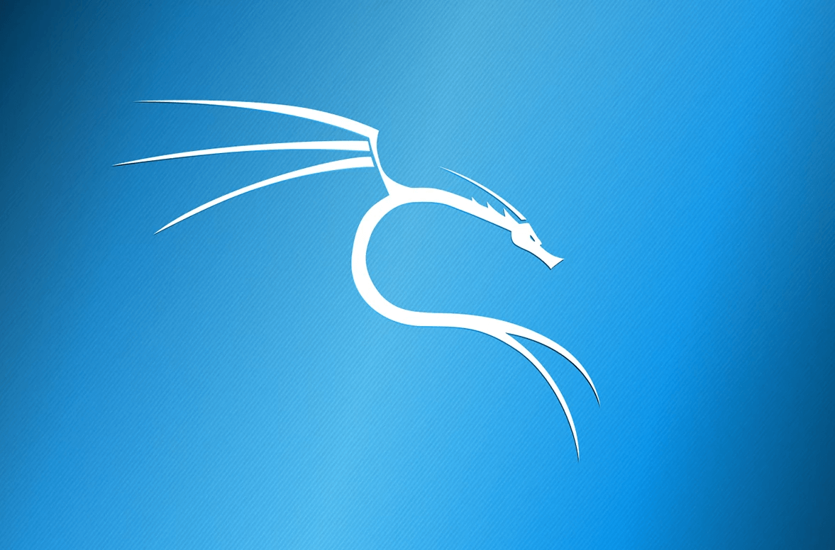 What Is Kali Linux VCISO360 Cyber Security Matters