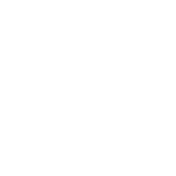 Indigo Research Intensive Seasonal Program IRIS | Indigo Research