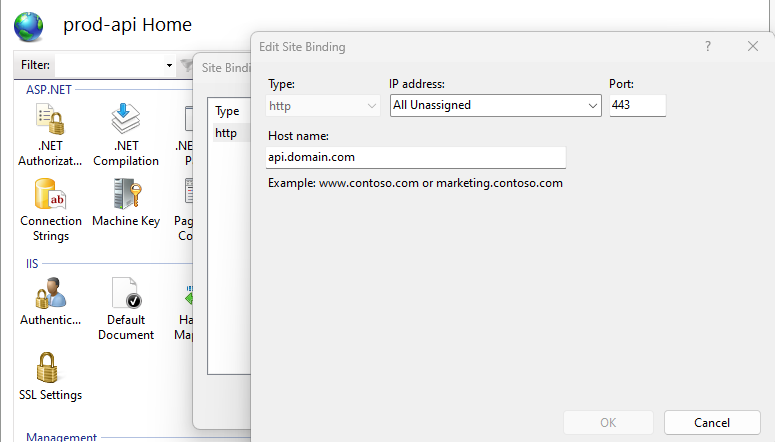How To Host Different Sites On IIS Servers