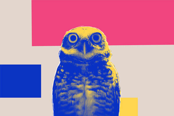 8 Social Media Design Ideas for User Engagement