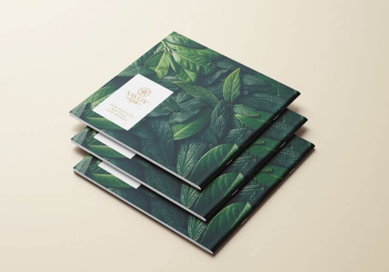 7 Effective Spa Brochure and Catalog Designs