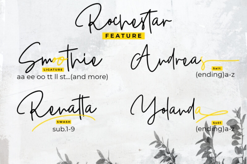 20 Best Modern Script Fonts for Typography Designs in 2021