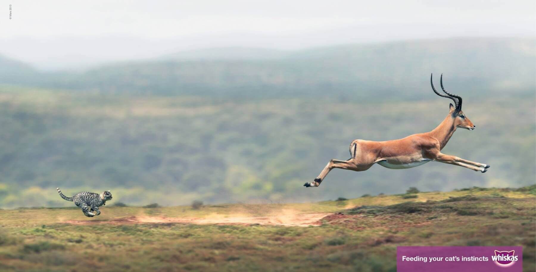 15 Exceptional Print Ads to Inspire You to Create Your Own