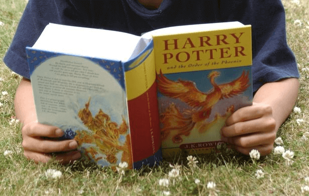 A Guide to Book Cover Designs and Sizes