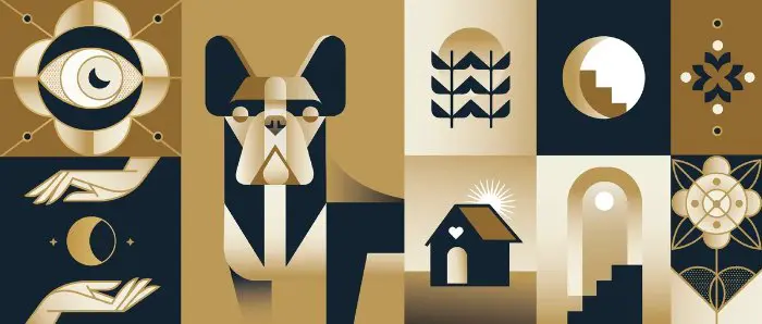 Astonishing Design Patterns to Use in Your Projects