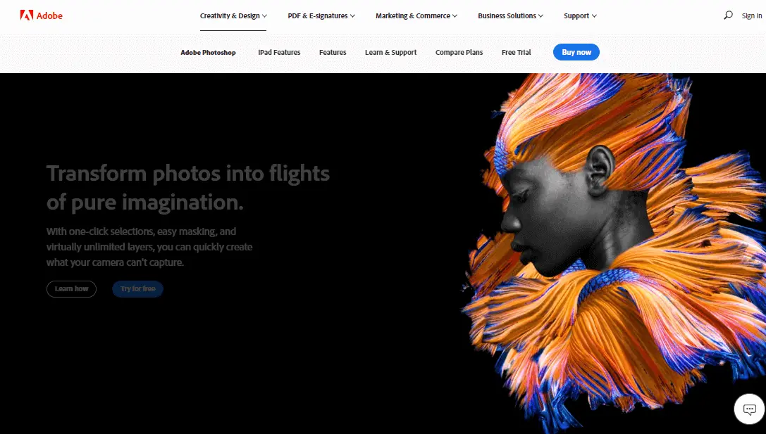 The Ultimate Guide to Web Design Software - Best Tools & Programs