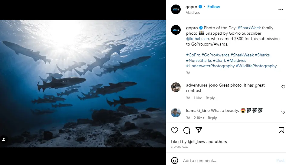 Learn to Create the Best Instagram Content for Your Brand