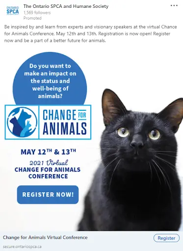 Social Media Ad Examples That Make People Click