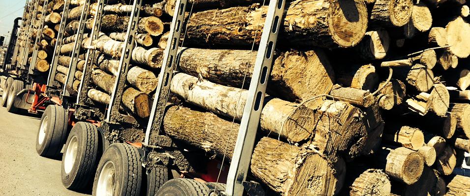 MODULAR LOGGING TRAILER