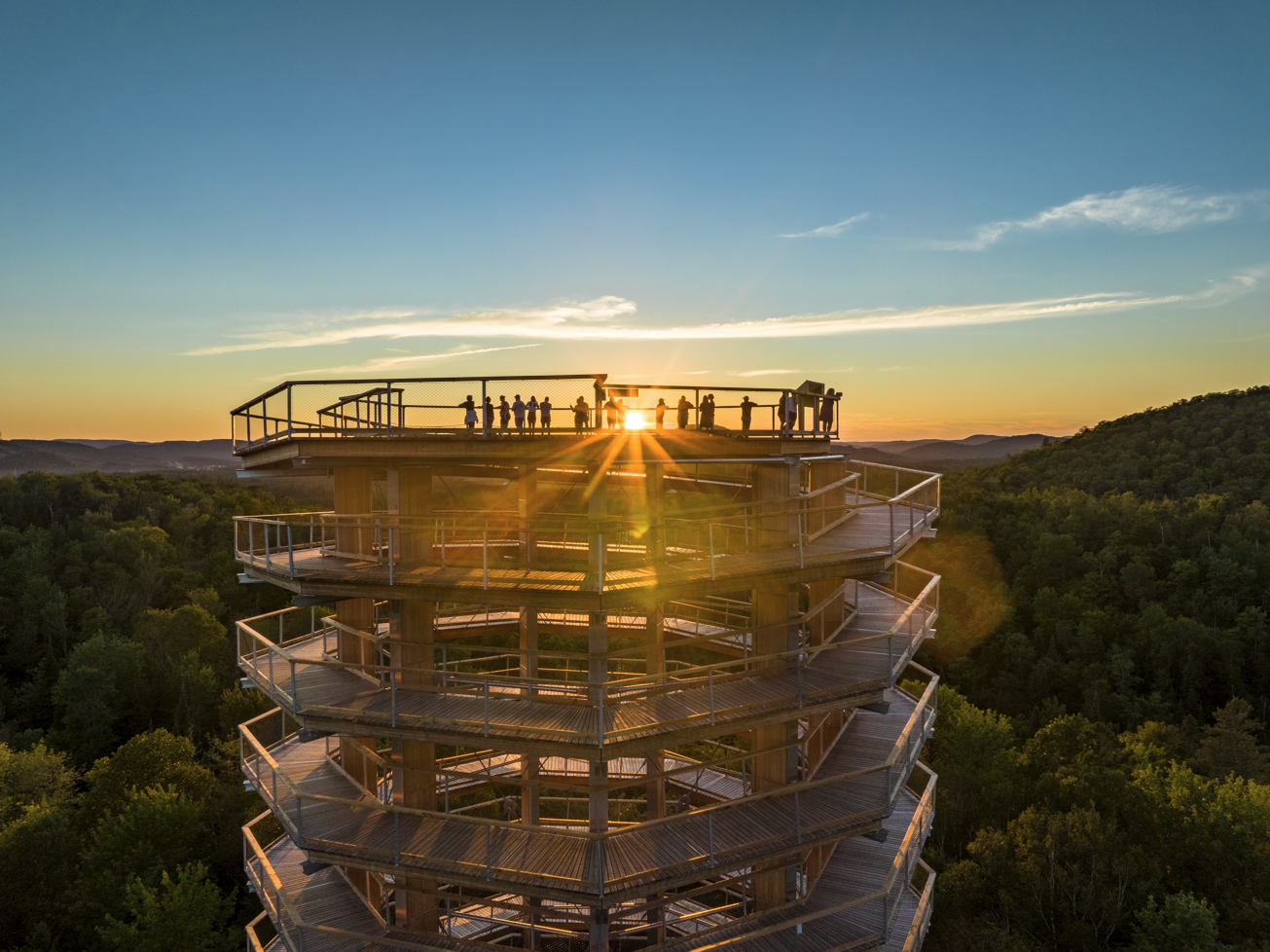"Sentier Des Cimes" (Treetop Lookout)