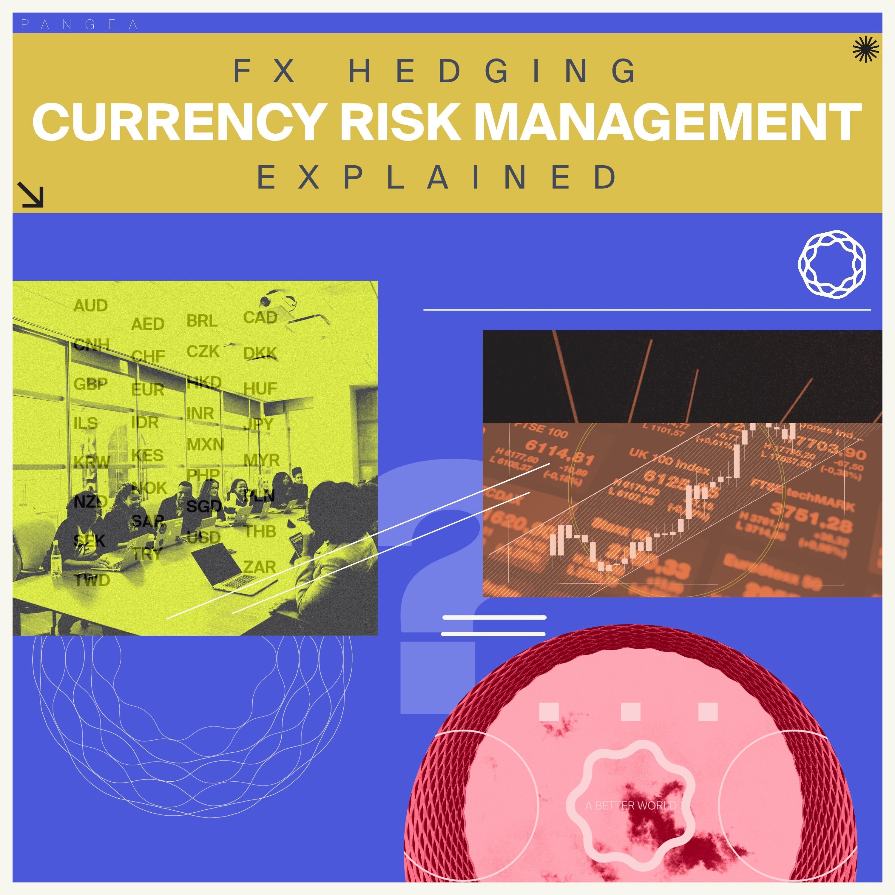 Hedging Foreign Exchange Risk Explained