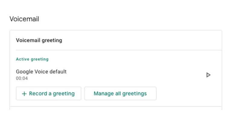 Google Voice Text Messages | Can You Text With Google Voice?