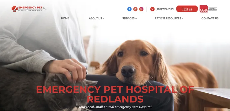 What is “Text a Vet”? + Veterinary Text Message Templates