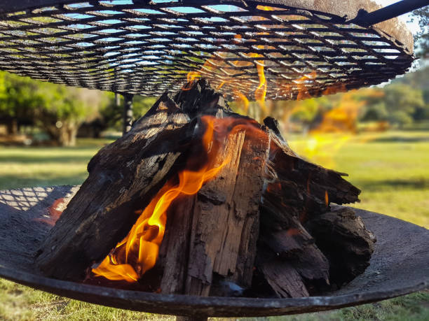 Cooking with Fire: The Art and Science of South African Braai