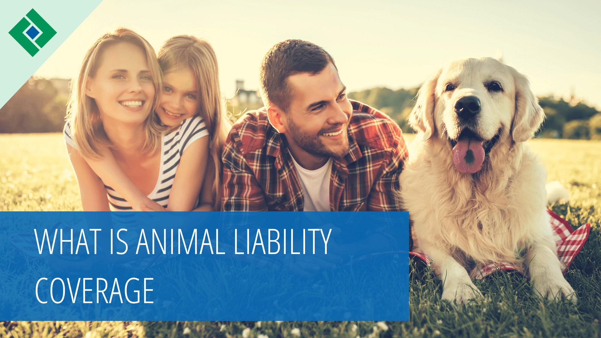 What is Animal Liability Coverage?