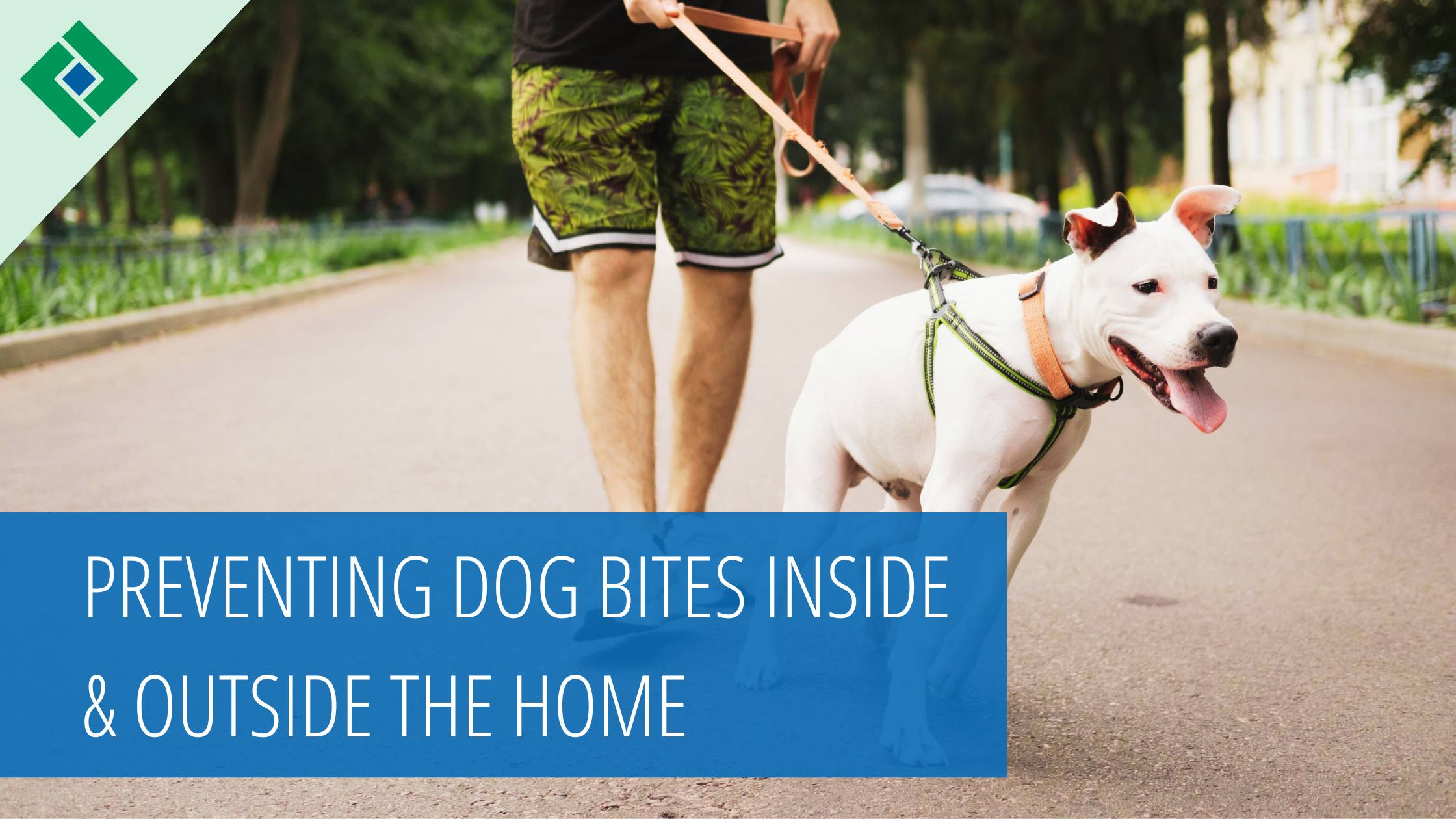 Hurricane Mitigation: Protect Your Home