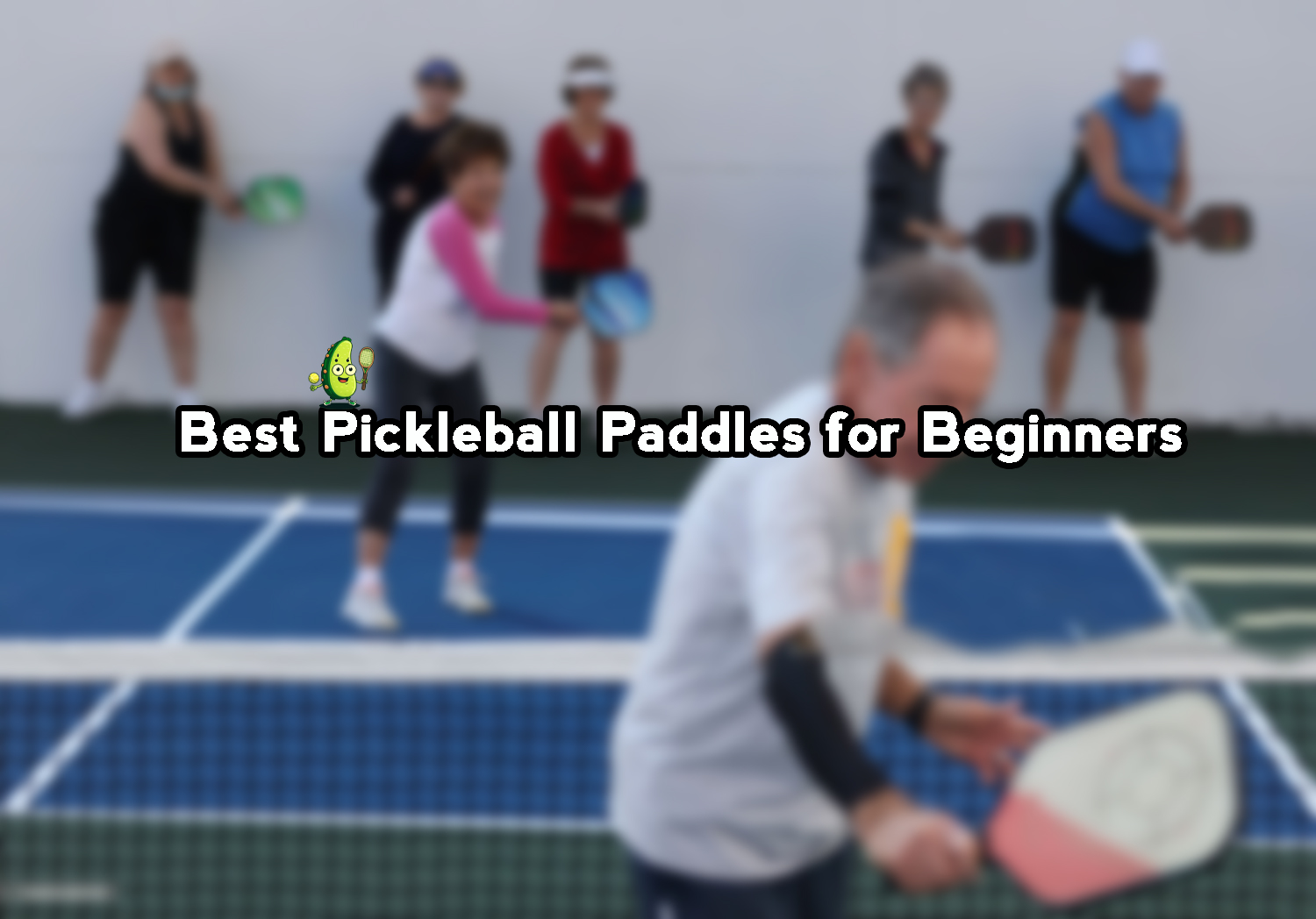 Best Pickleball Paddles for Beginners in 2023 | The Skilled Pickle