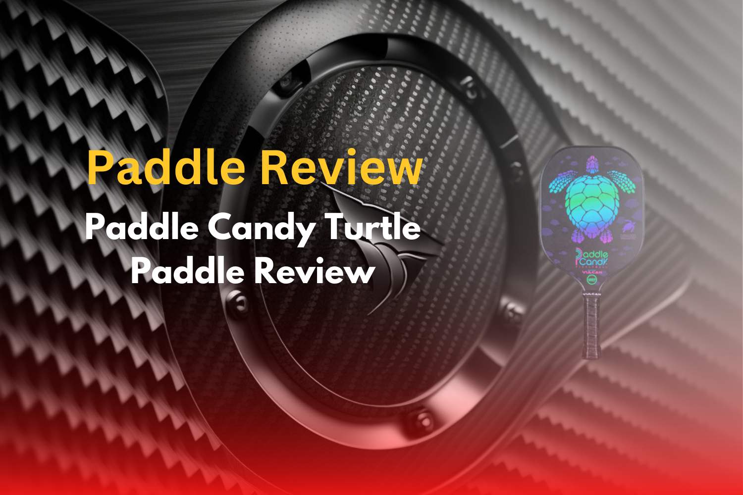 Paddle Candy Turtle Paddle Review Review | The Skilled Pickle